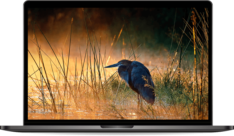 Organizar automáticamente tu escritorio gratis con iTop Easy Desktop